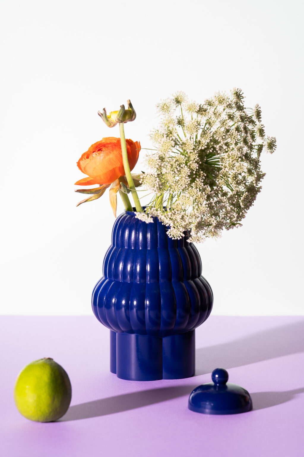 Botanic Collection – HAYON STUDIO